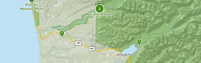 Best Forest Trails in Amanda Park | AllTrails