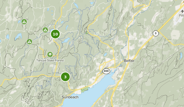 Best OHV / Off Road Driving Trails near Belfair, Washington | AllTrails