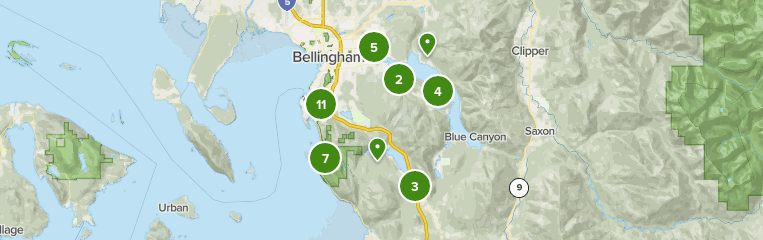 Best trail running trails in Bellingham, Washington | AllTrails