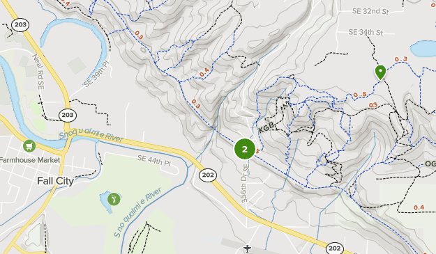 Best Forest Trails near Fall City, Washington | AllTrails