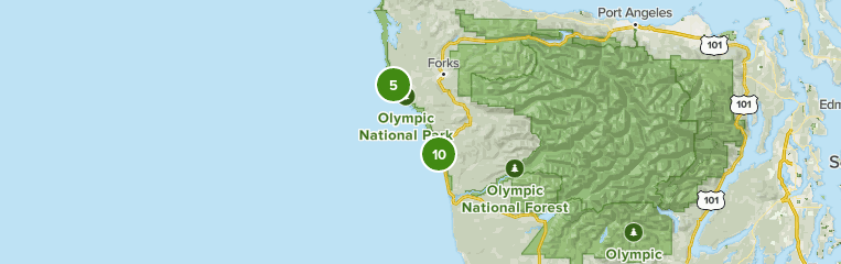 10 Best Beach Trails in Forks | AllTrails