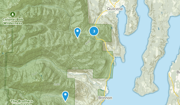 Best Kid Friendly Trails near Quilcene, Washington | AllTrails