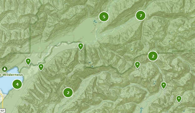 Best Forest Trails near Quinault, Washington | AllTrails