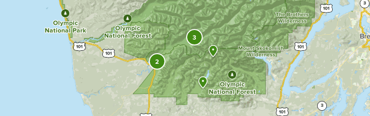 2023 Best Moderate Trails in Quinault | AllTrails