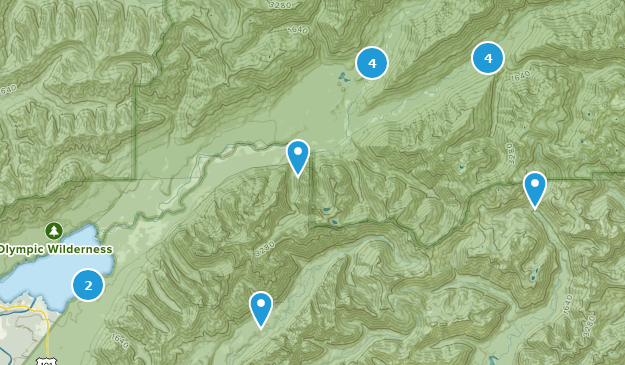 Best Trail Running Trails near Quinault, Washington | AllTrails