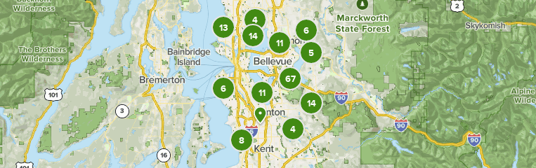 10 Best Bird Watching Trails in Seattle | AllTrails