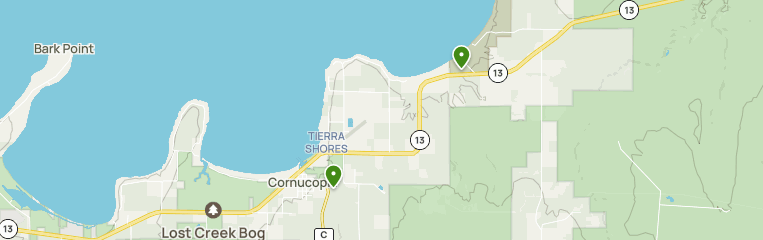 Best Forest Trails in Cornucopia | AllTrails