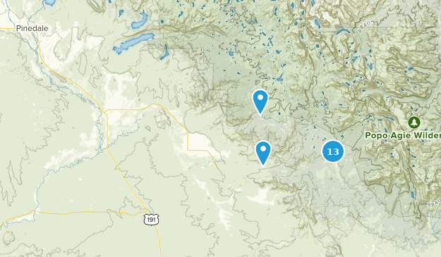 Best Forest Trails near Boulder, Wyoming | AllTrails