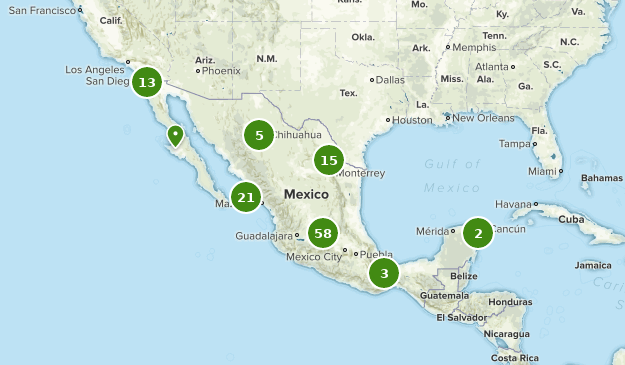 Best Running Trails in Mexico | AllTrails