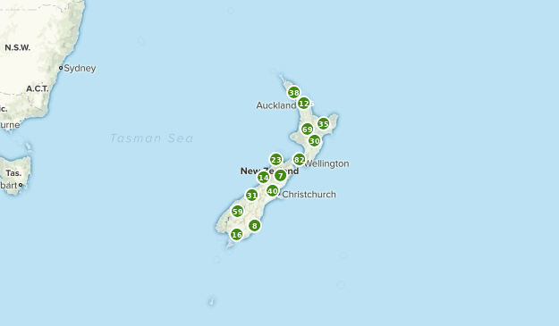 Best Forest Trails in New Zealand | AllTrails