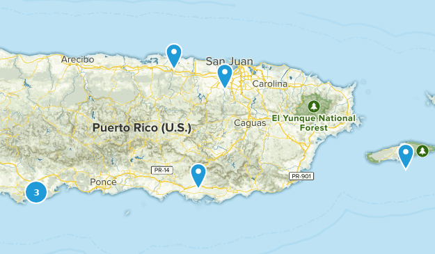 Best Mountain Biking Trails in Puerto Rico | AllTrails