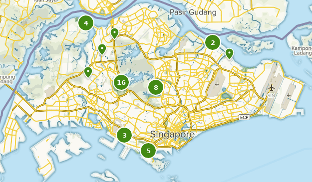 Best Forest Trails in Singapore | AllTrails