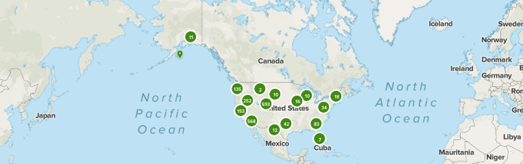 Best off road driving trails in United States of America | AllTrails