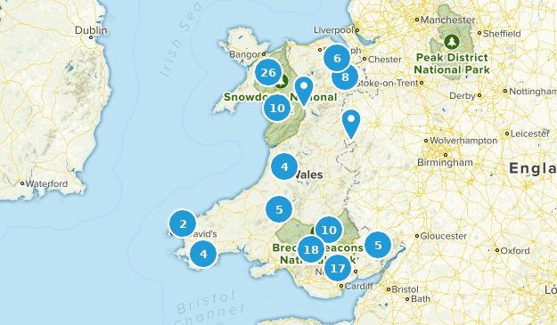 Best Forest Trails in Wales | AllTrails