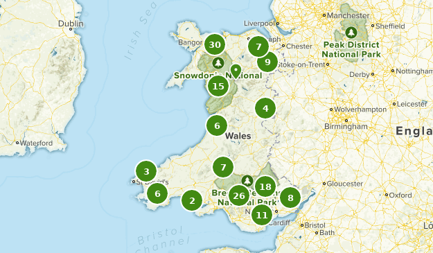 Best Forest Trails in Wales | AllTrails