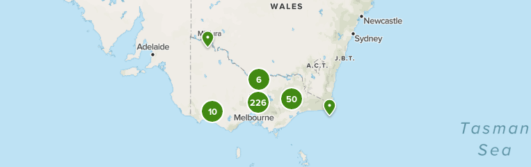 Best mountain biking trails in Victoria, Australia | AllTrails