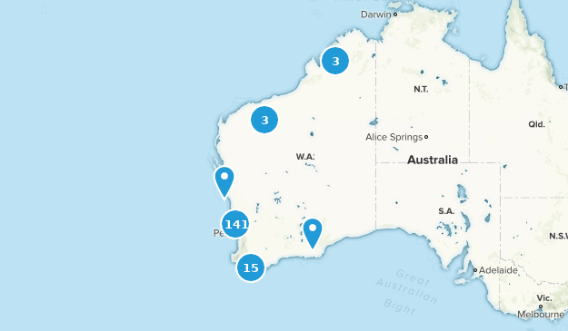 Best Forest Trails in Western Australia Australia | AllTrails