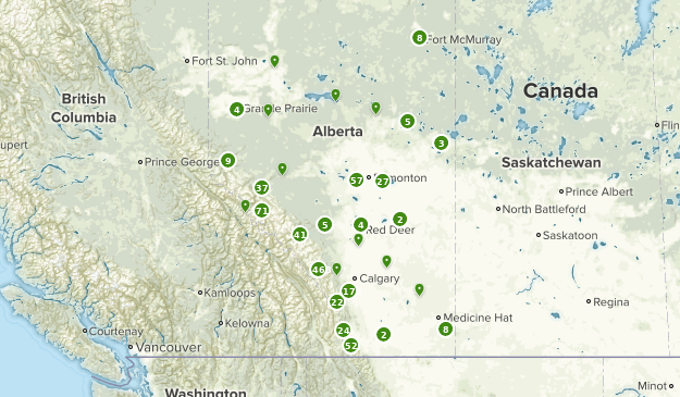 Best Forest Trails in Alberta Canada | AllTrails