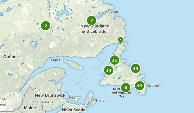 Best Forest Trails in Newfoundland and Labrador Canada | AllTrails