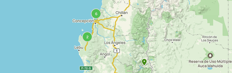 Los mejores senderos para ir de pesca en Región del Bío Bío | AllTrails