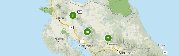 Alajuela – 10 najlepszych szlaków do obserwowania ptaków | AllTrails