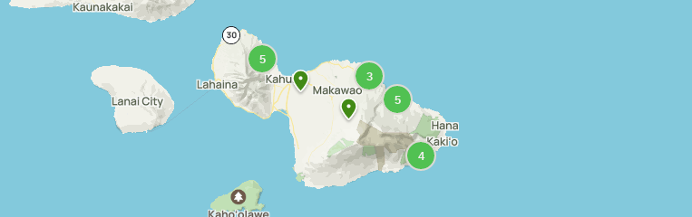 10 Best Waterfall Trails in Maui | AllTrails