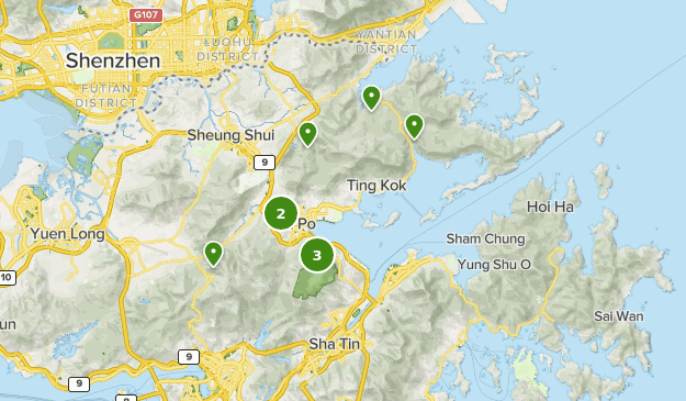 Best Running Trails in Tai Po Hong Kong | AllTrails
