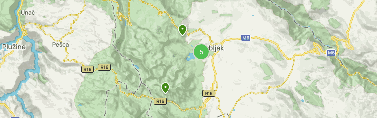 Best Forest Trails in Žabljak | AllTrails