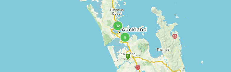 10 Best City Walk Trails in Auckland | AllTrails