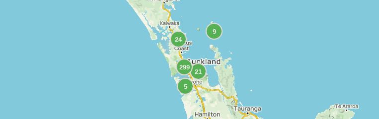 2023 Best 10 Kid Friendly Trails in Auckland | AllTrails