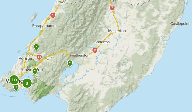 Best Mountain Biking Trails in Wellington New Zealand | AllTrails