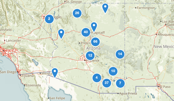 Best Forest Trails in Arizona | AllTrails.com