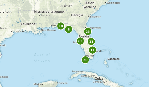 Best Beach Trails in Florida | AllTrails