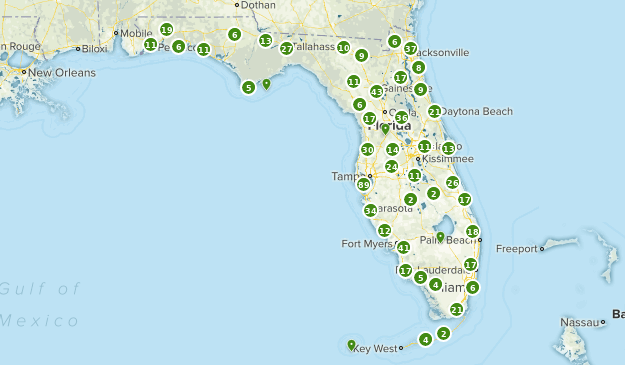 Best Bird Watching Trails in Florida | AllTrails
