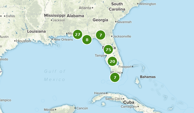 Best Camping Trails in Florida | AllTrails