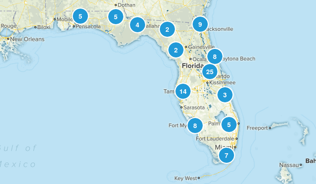 Best Fishing Trails in Florida | AllTrails