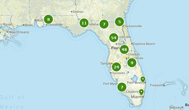 Best Horseback Riding Trails in Florida | AllTrails