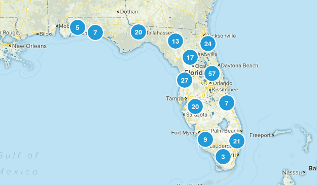 Best Mountain Biking Trails in Florida | AllTrails