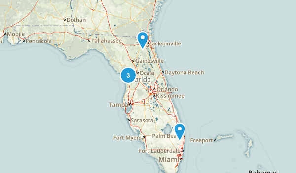 Best Off Road Driving Trails in Florida | AllTrails