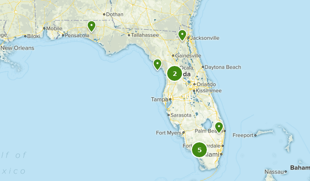 Best OHV / Off Road Driving Trails in Florida | AllTrails