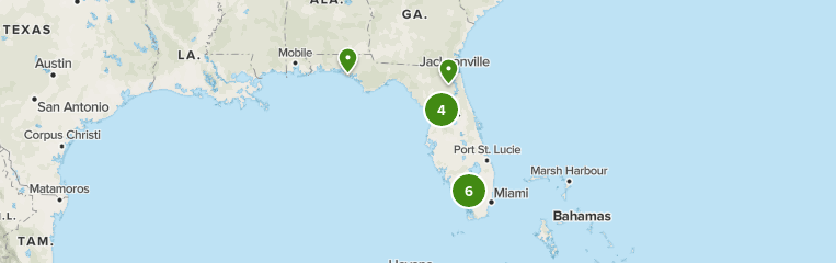 Best off road driving trails in Florida | AllTrails