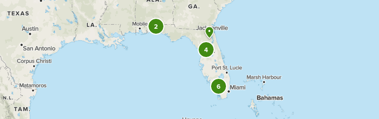 Best off road driving trails in Florida | AllTrails