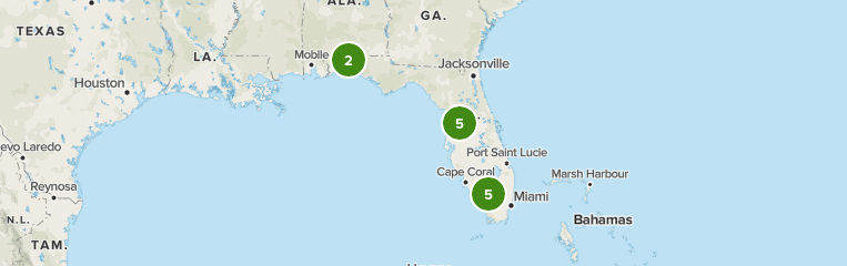 Best 10 Off Road Driving Trails in Florida | AllTrails