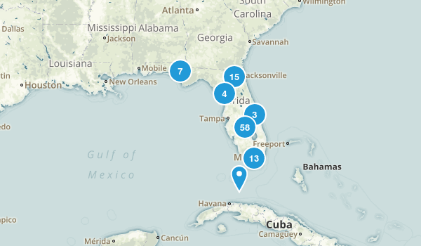 Best Road Biking Trails in Florida | AllTrails