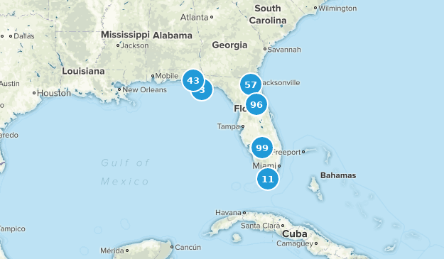 Best State Parks in Florida | AllTrails