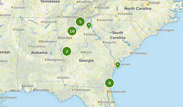 Best Beach Trails in Georgia | AllTrails