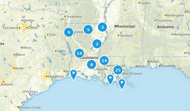 Best Bird Watching Trails in Louisiana | AllTrails