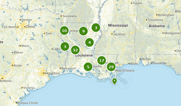 Best Forest Trails in Louisiana | AllTrails