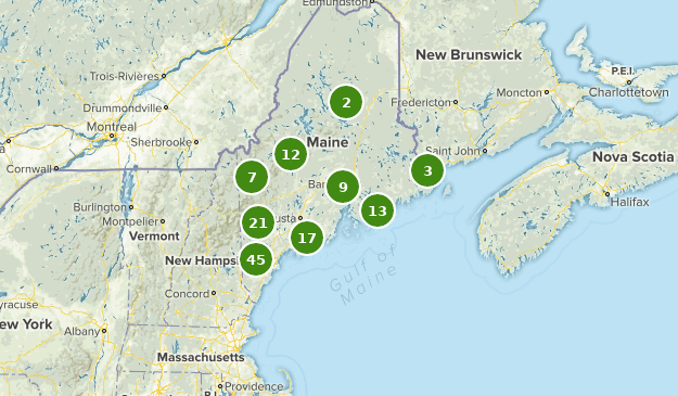 Best Dog Friendly Trails in Maine | AllTrails