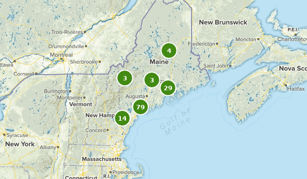 Best Mountain Biking Trails in Maine | AllTrails